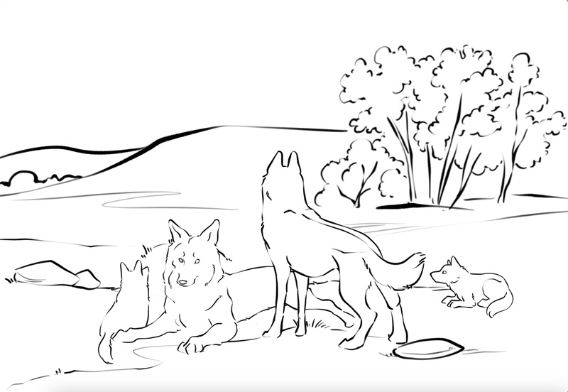 Wolves and Trophic Cascades | Wolf Reintroduction